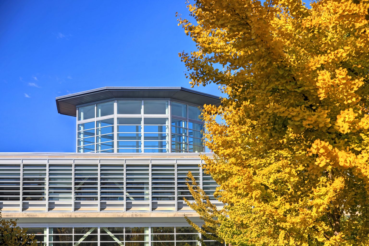 John M. Olin Library - WashU Libraries