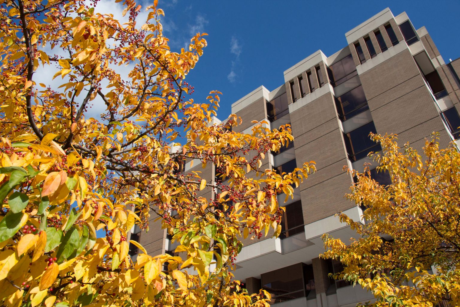 Locations - WashU Libraries