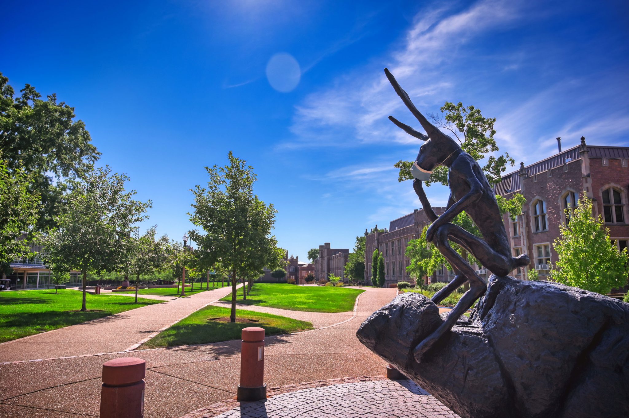 Remote Resources - WashU Libraries