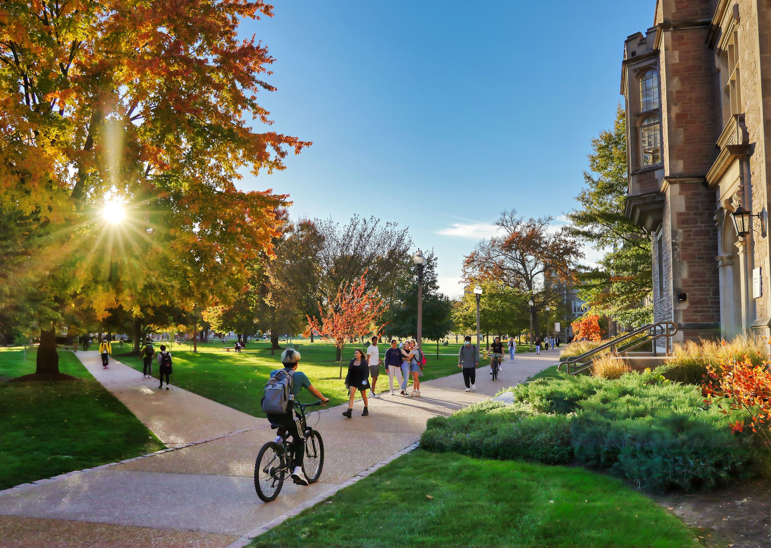 Impact Report - WashU Libraries