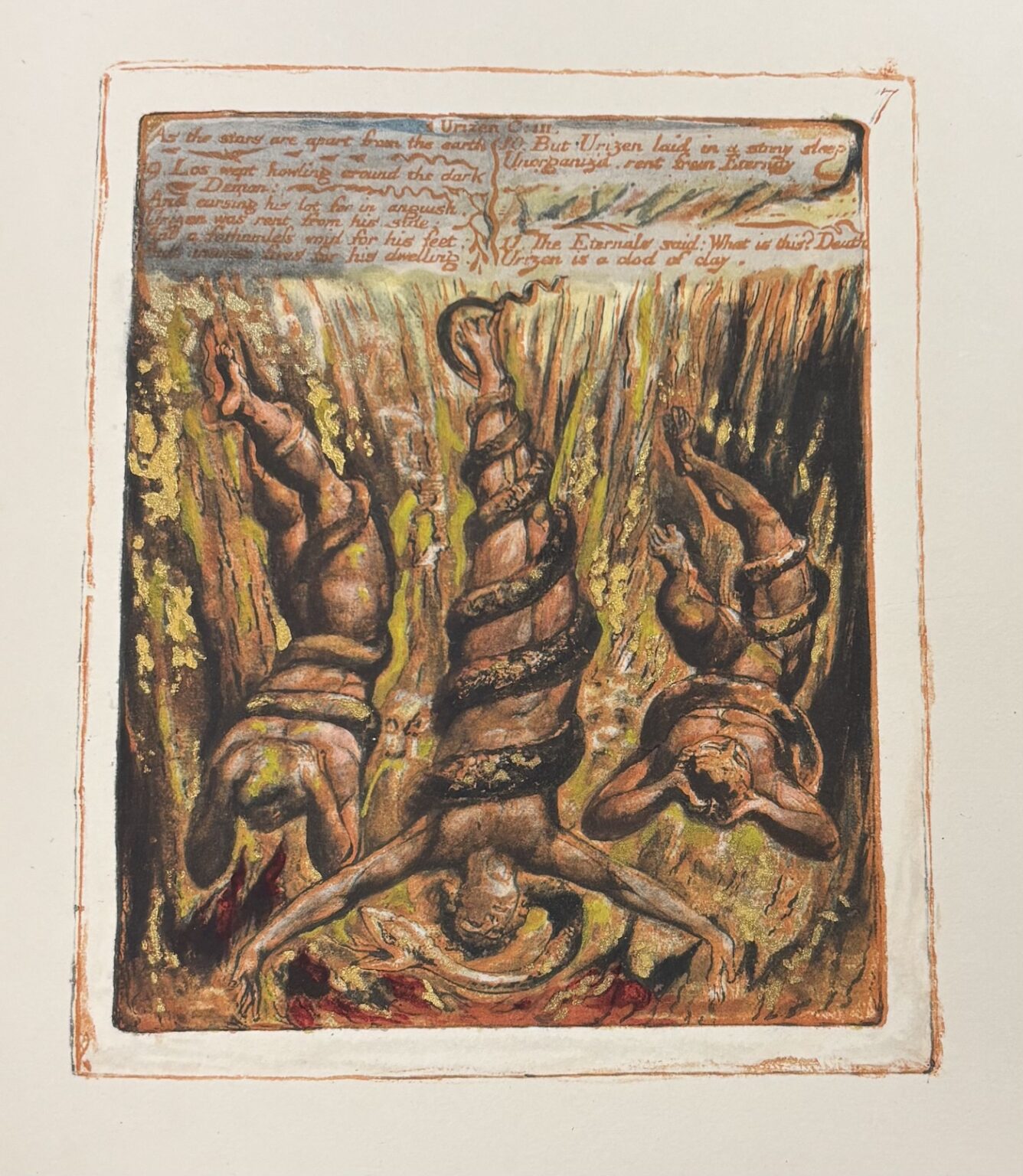 Versatile Serpents: Examining Varied Representations of Snakes on the ...